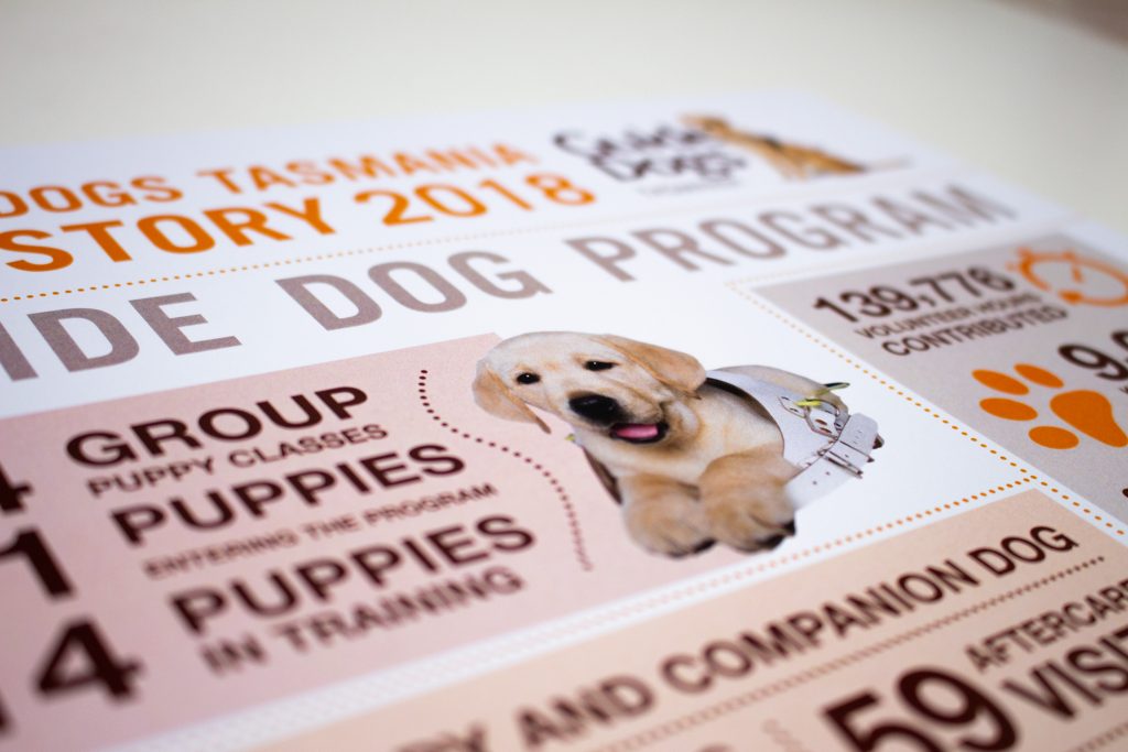 Guide Dogs - Paper Whale